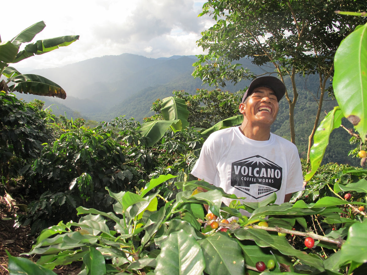 How can coffee be a force for good? | Volcano Coffee Works - Volcano ...